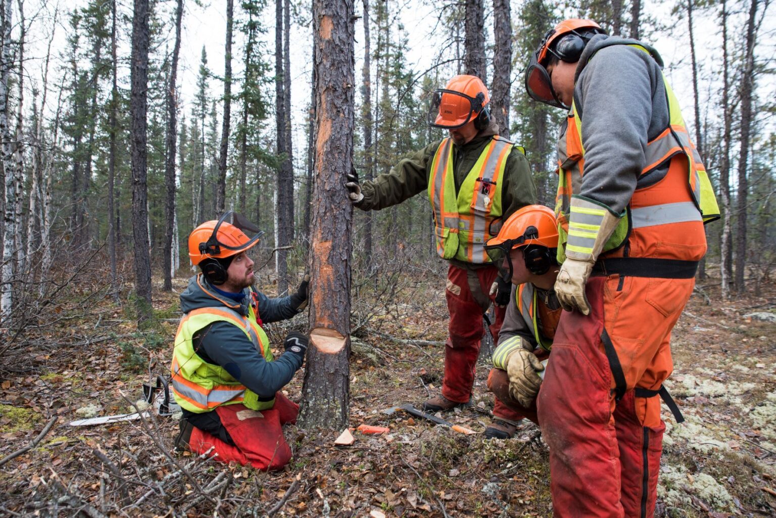 Land Safety Courses – Arctic Response Canada